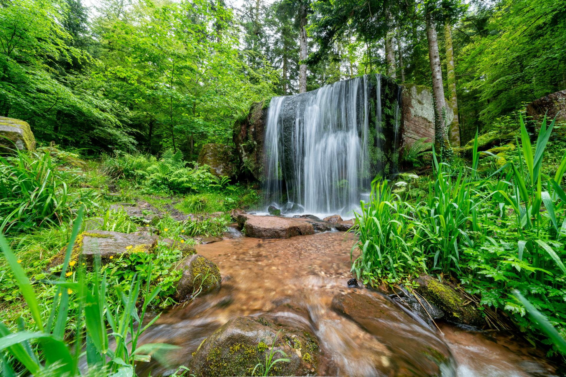 Découvrir la cascade des Molières à Saint des Vosges - Domaine des Bans ...